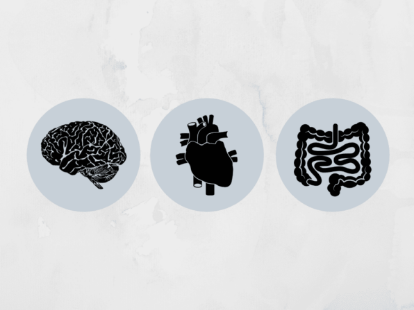 The Three Brains: How to Awaken Your 3 Intelligence Centers ...