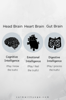 The Three Brains: How to Awaken Your 3 Intelligence Centers ...