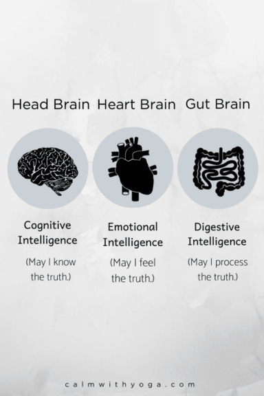 The Three Brains: How to Awaken Your 3 Intelligence Centers ...