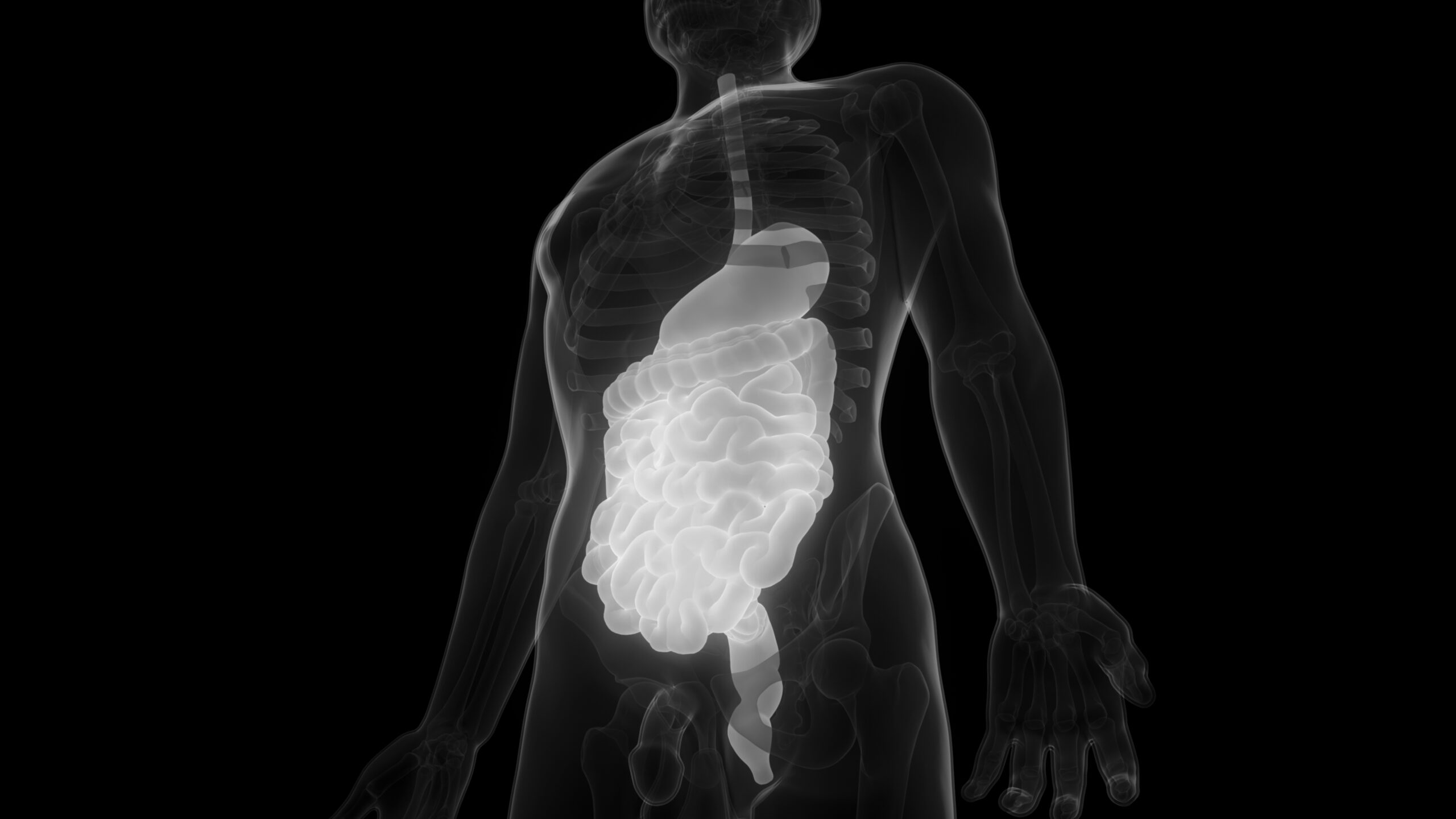 Gut Dysbiosis: Signs Your Digestive System Is In Trouble & How It ...