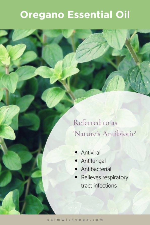 The Best Essential Oils to Support Your Immune System - Motherhood ...