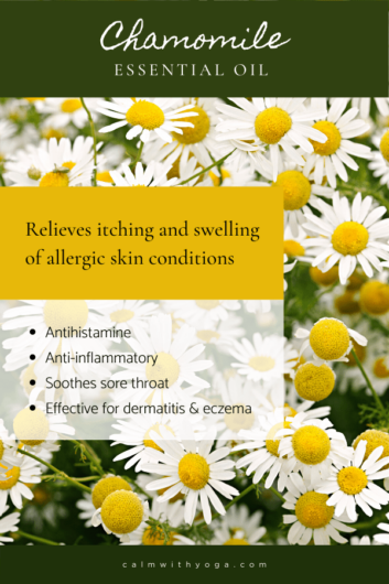 Can Essential Oils Really Provide Allergy Relief? - Motherhood Community