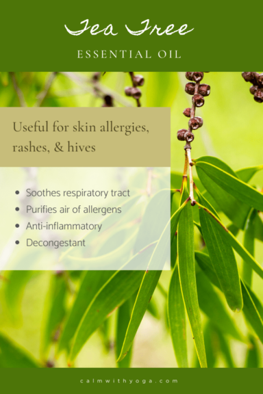 Can Essential Oils Really Provide Allergy Relief? - Motherhood Community