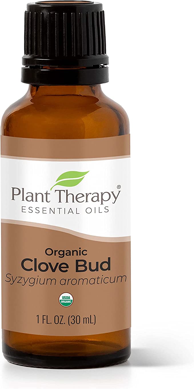 The Best Essential Oils For UTI (Urinary Tract Infection) - Motherhood ...