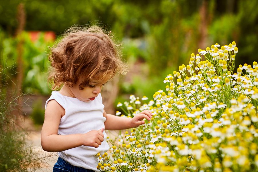 201 Girl Plant Names & Cute Earthy Options