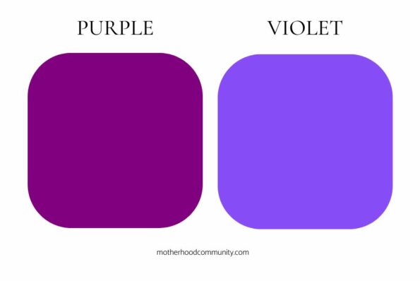 190+ Purple Names With Nature Themes & Elegant Meanings