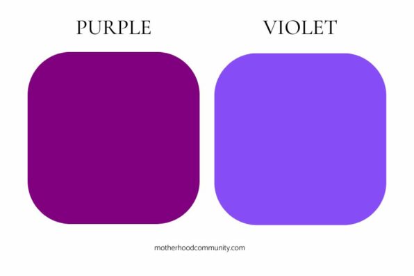 190+ Purple Names With Nature Themes & Elegant Meanings