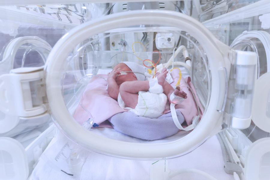 Body Composition Comparison Of Preterm Infants Based On Diet