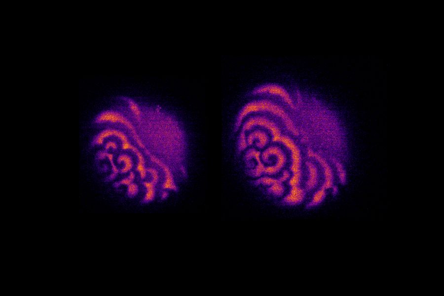 MIT Study Finds Waves Patterns Rippling Across A Fertilized Egg MIT Study Finds Waves Patterns Rippling Across A Fertilized Egg