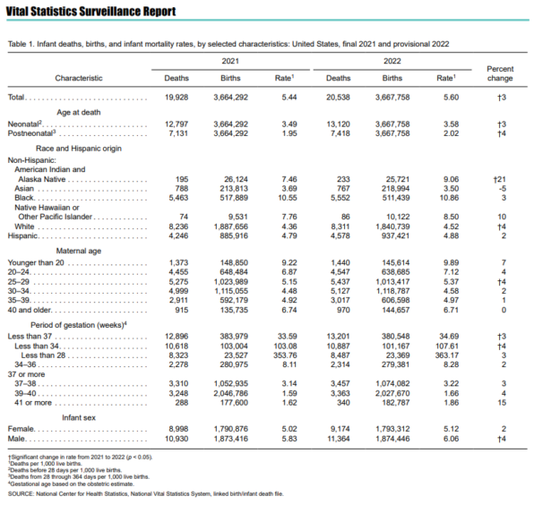 CDC Report (2023): Infant Deaths Increased In 2022